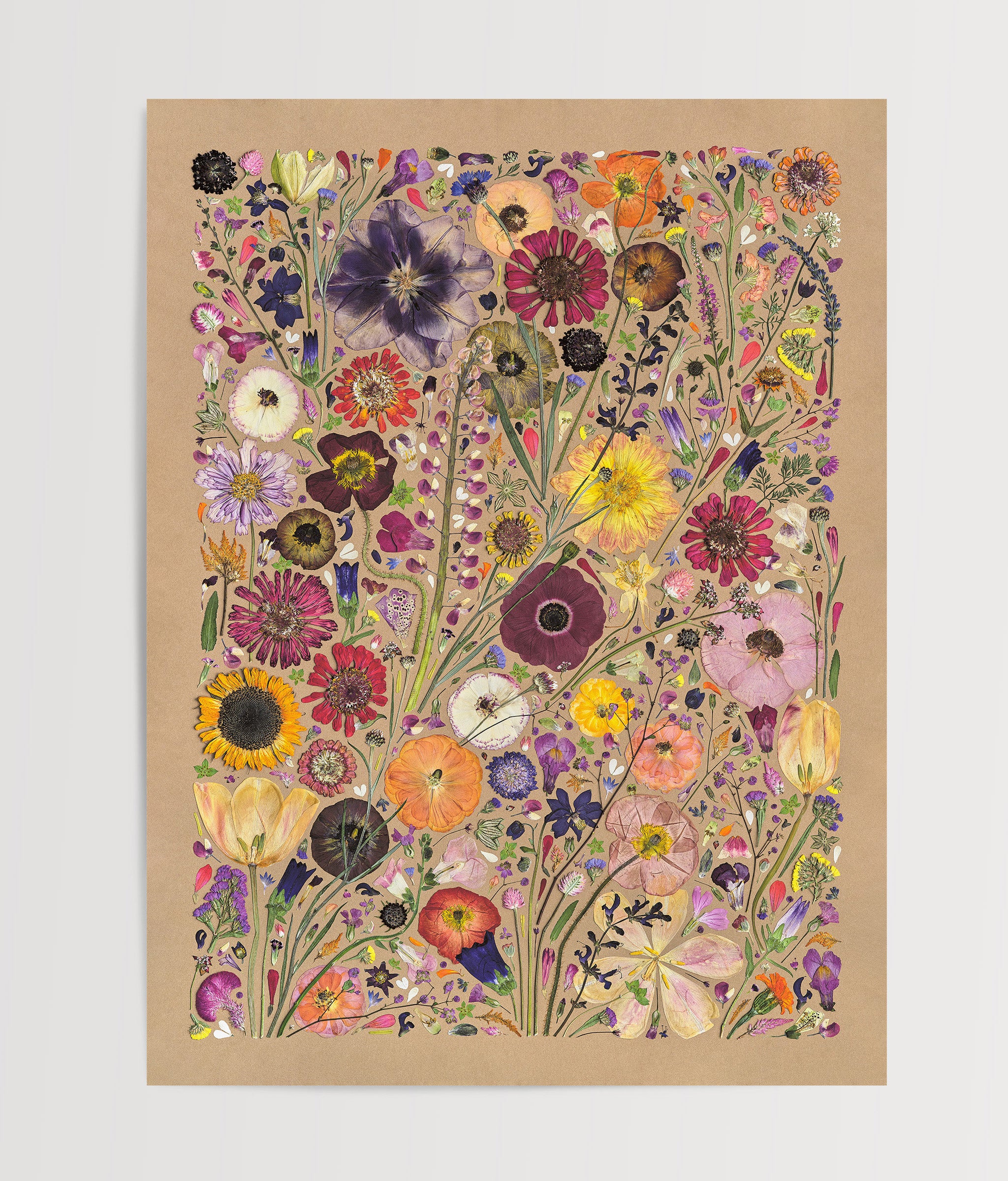 Pressed Flower Art Prints and Educational Courses – Flower Press Studio