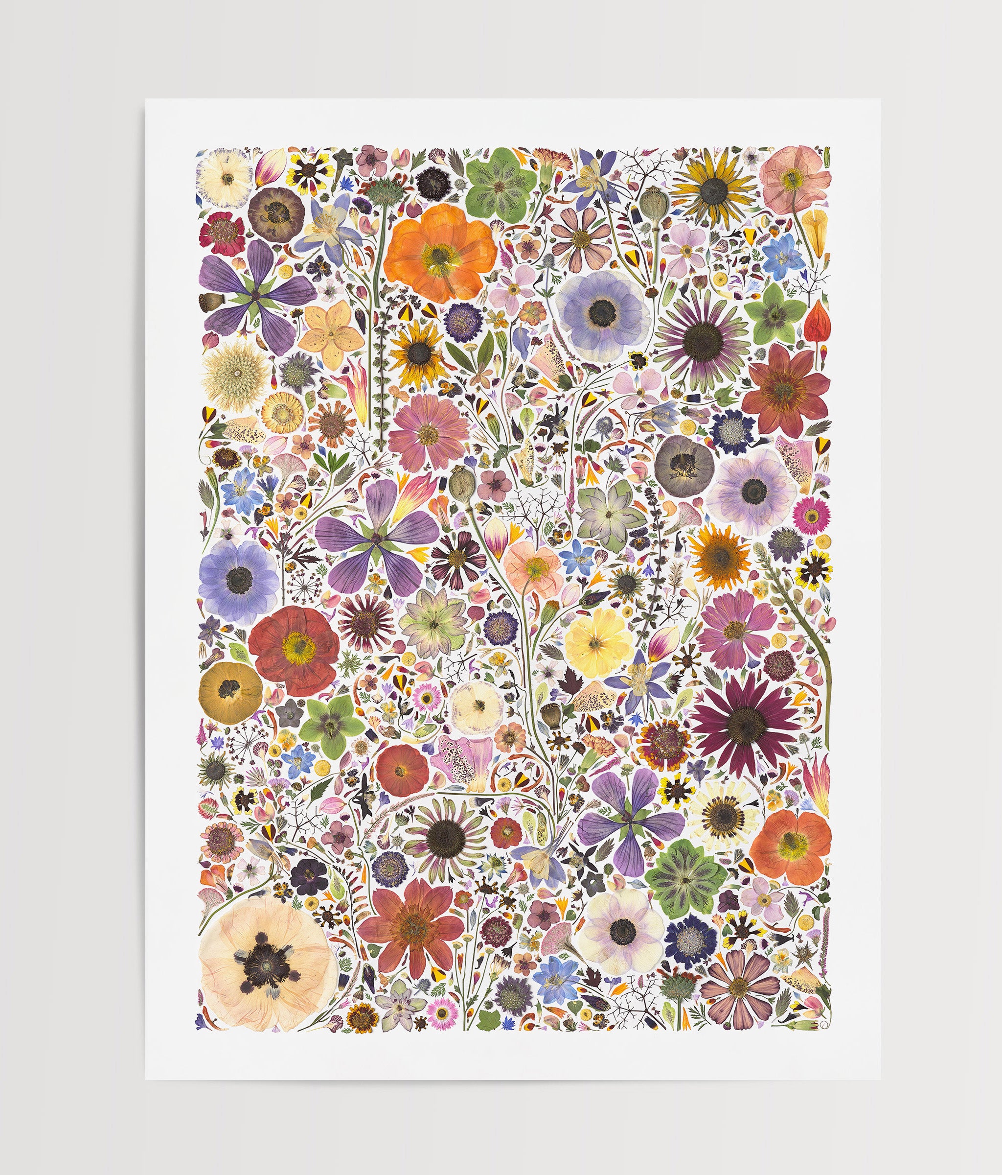 Pressed Flower Art Prints and Educational Courses – Flower Press Studio