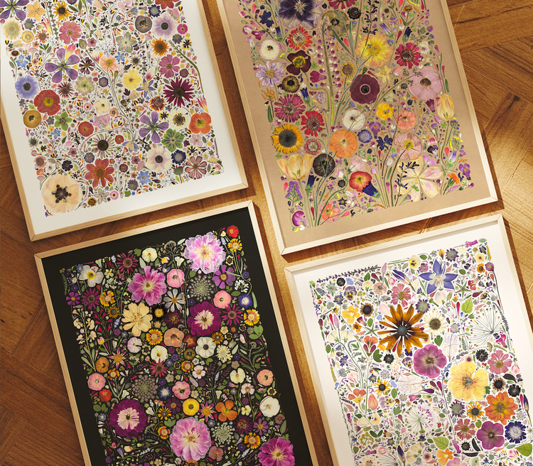 Pressed Flower Art Prints and Educational Courses – Flower Press Studio
